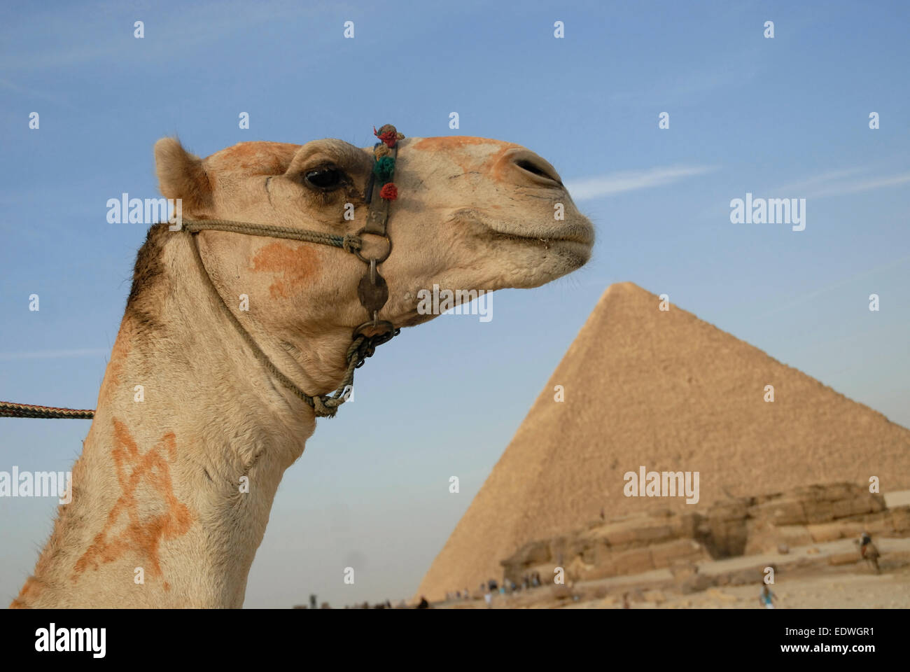 Les grandes pyramides de Gizeh Photo Stock - Alamy