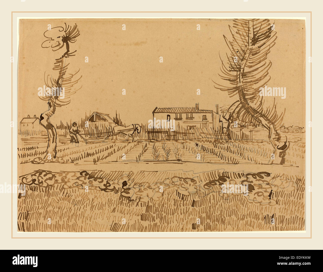 Vincent van Gogh, le néerlandais (1853-1890), laboureur dans les champs ...