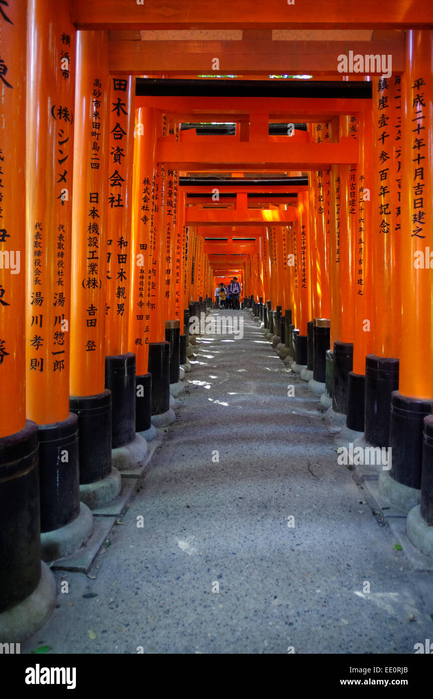 Torii shinto rouge Banque de photographies et d’images à haute ...
