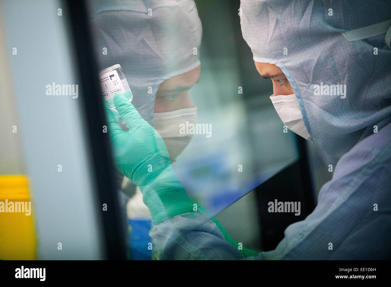 Cellule souche hématopoïétique Banque de photographies et d’images à ...