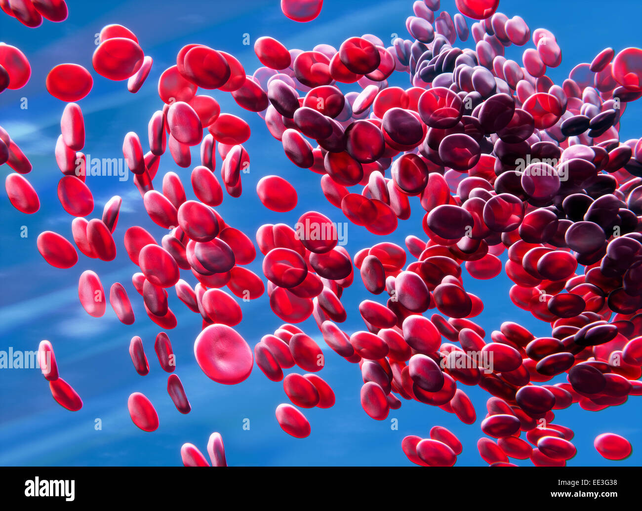 Microscopio y células sanguíneas Banque de photographies et d’images à ...