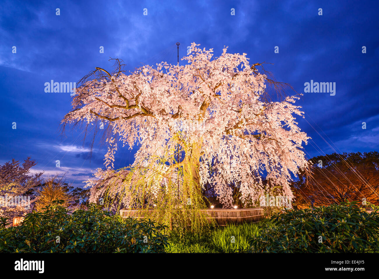 Kyoto park Banque de photographies et d’images à haute résolution - Alamy