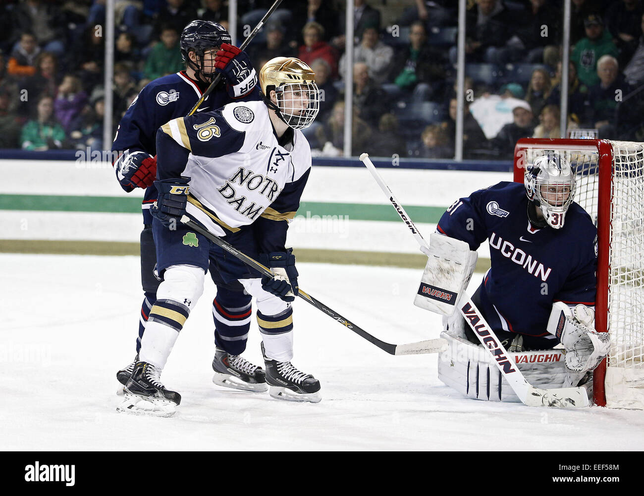 South Bend, Indiana, USA. 16 janvier, 2015. Notre Dame center Connor ...