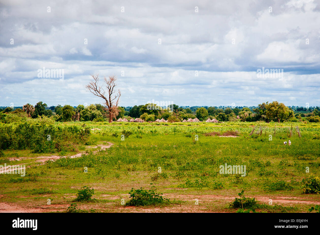 Pavillon traditionnel en brique de boue et de chaume chalets village de ...