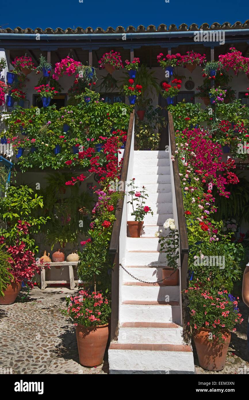 Cour intérieure fleurie au cours de la fiesta de los patios, Cordoue ...