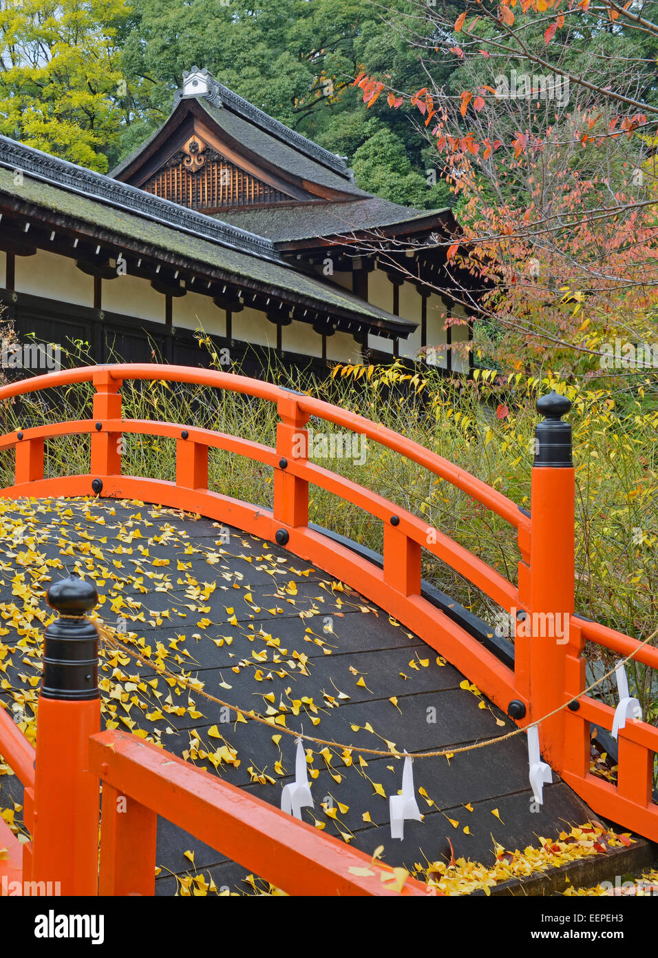 Temple shimogamo jinja Banque de photographies et d’images à haute résolution - Alamy