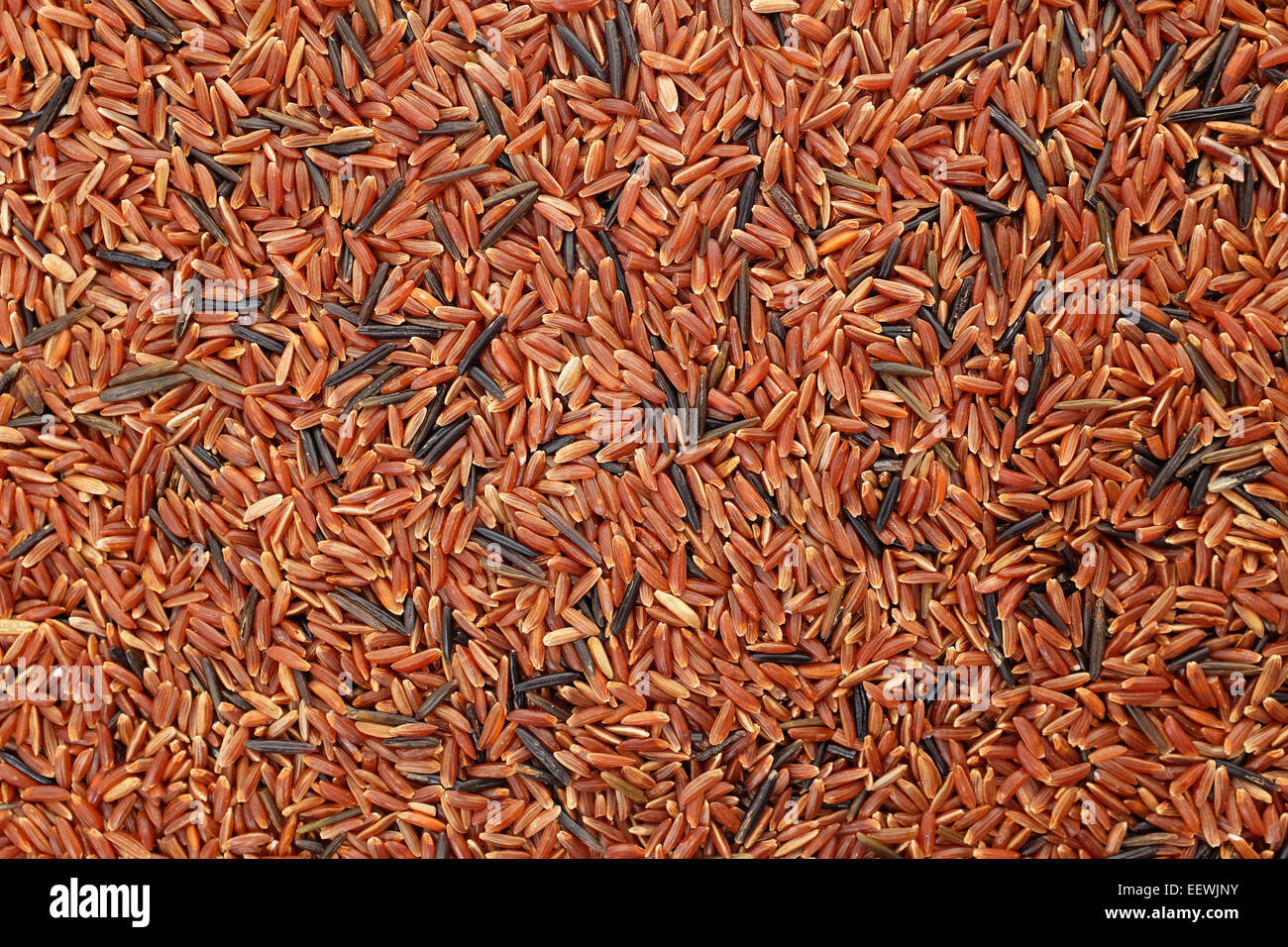 Riz sauvage rouge Banque de photographies et d’images à haute ...