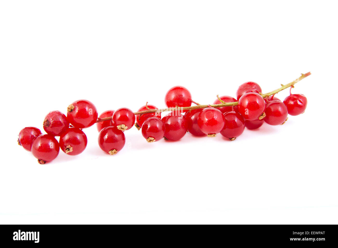 Bouquet de groseilles blanches Banque de photographies et d’images à ...