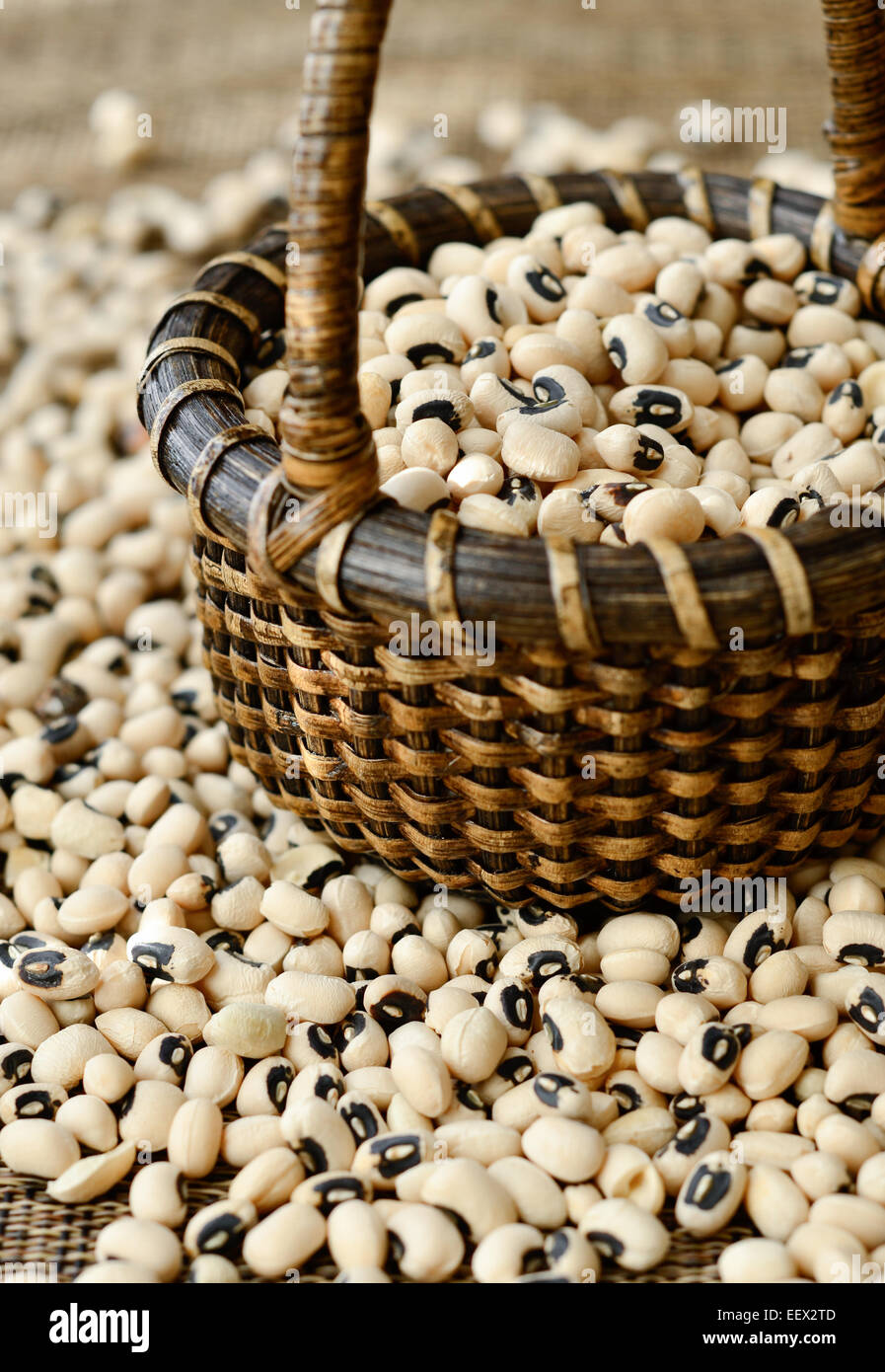 Black eye peas Banque de photographies et d’images à haute résolution - Alamy