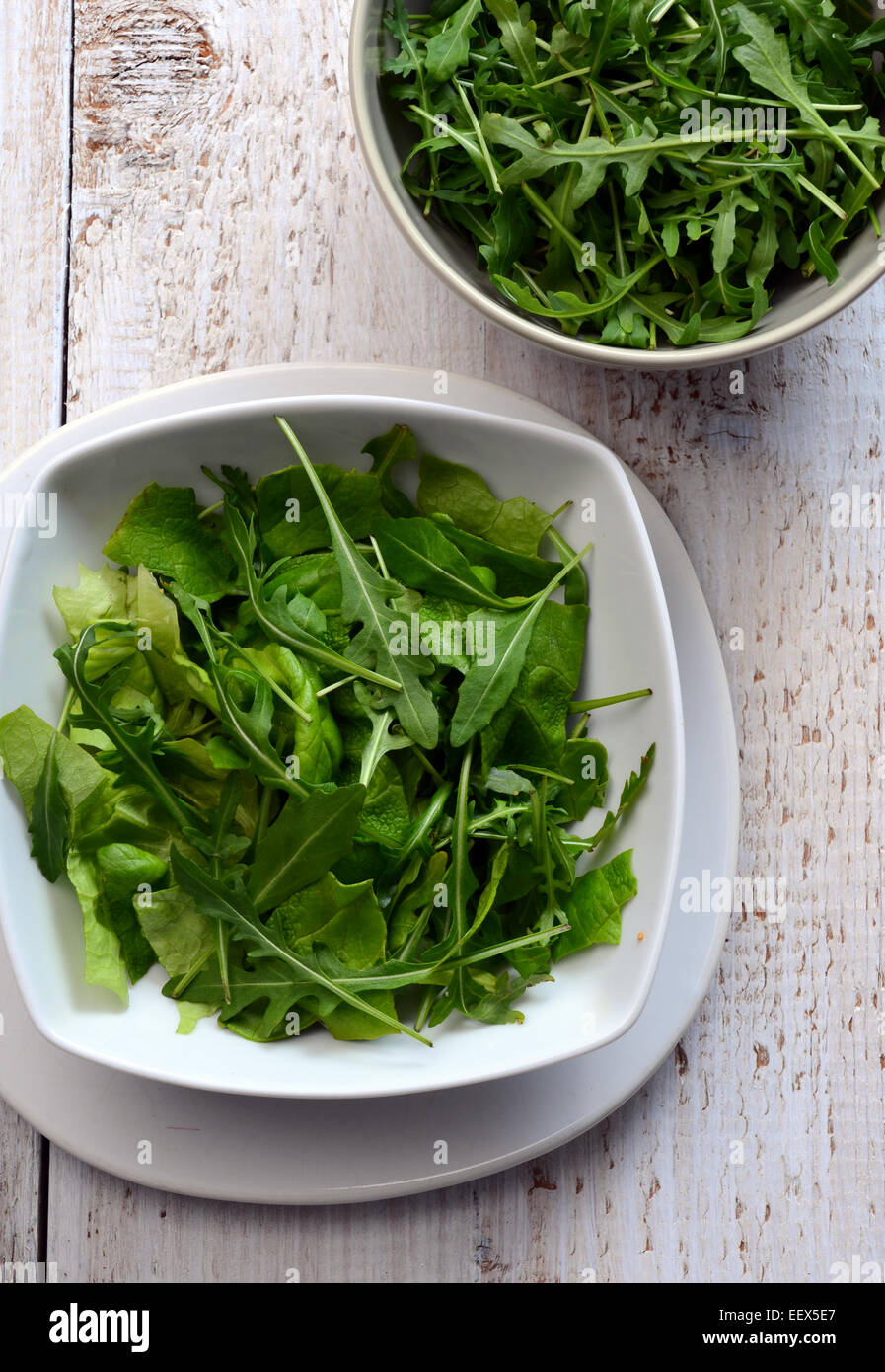 Feuilles de salade de roquette Banque de photographies et d’images à ...