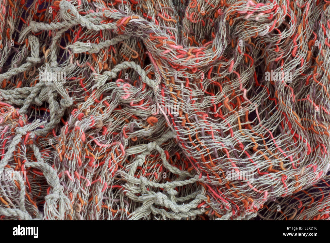 Fileter le poisson Banque de photographies et d’images à haute ...