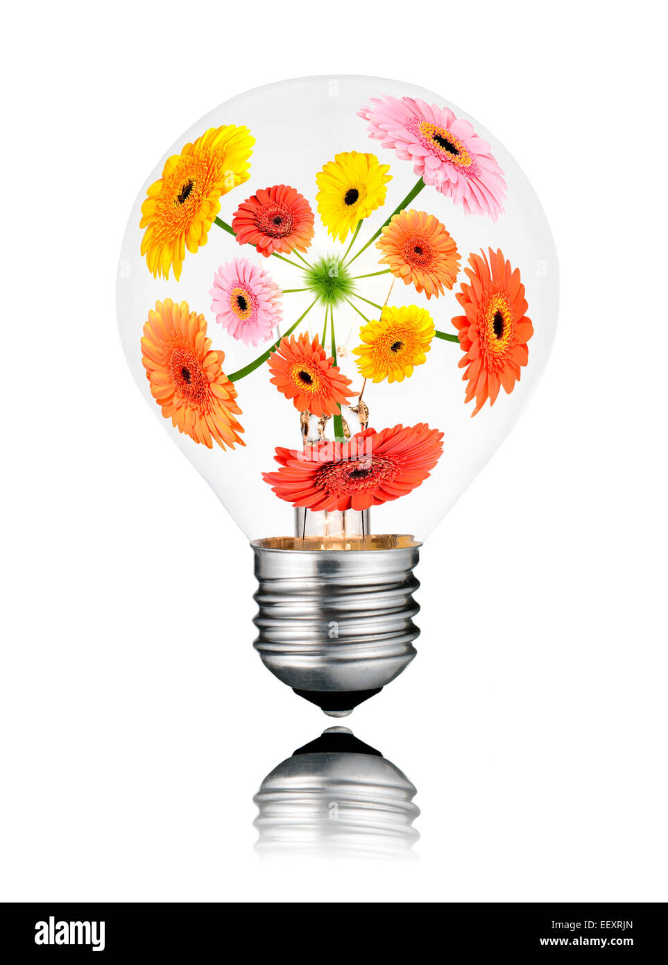 Ampoule avec différentes fleurs colorées à l'intérieur de plus en plus ...