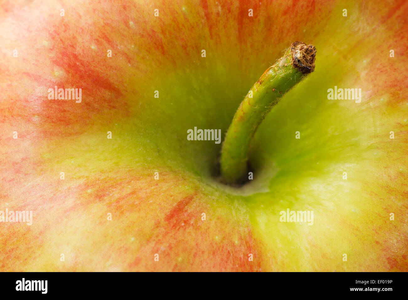 Apfel stiel Banque de photographies et d’images à haute résolution - Alamy