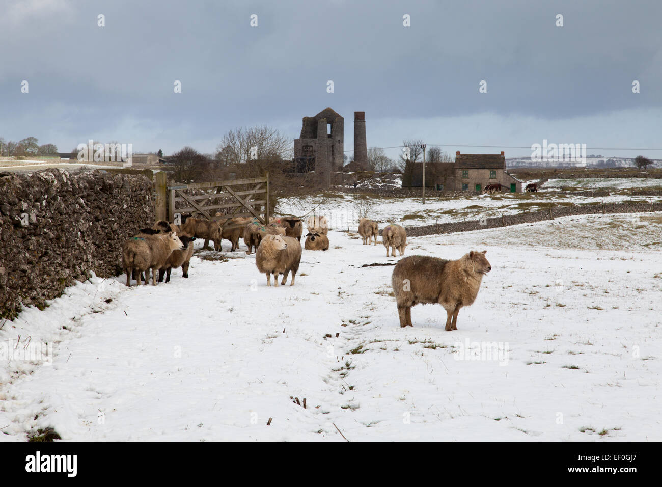 Flagg derbyshire Banque de photographies et d’images à haute résolution ...