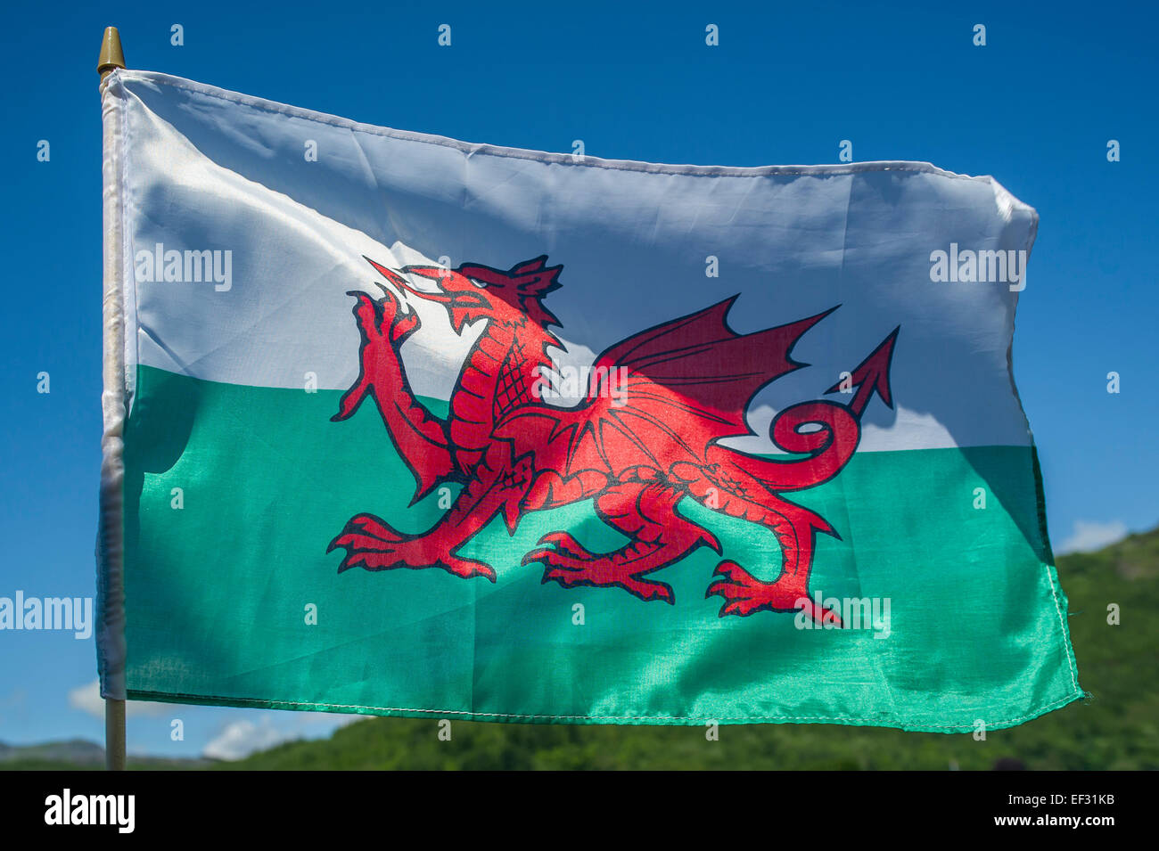 Flag of wales Banque de photographies et d’images à haute résolution ...