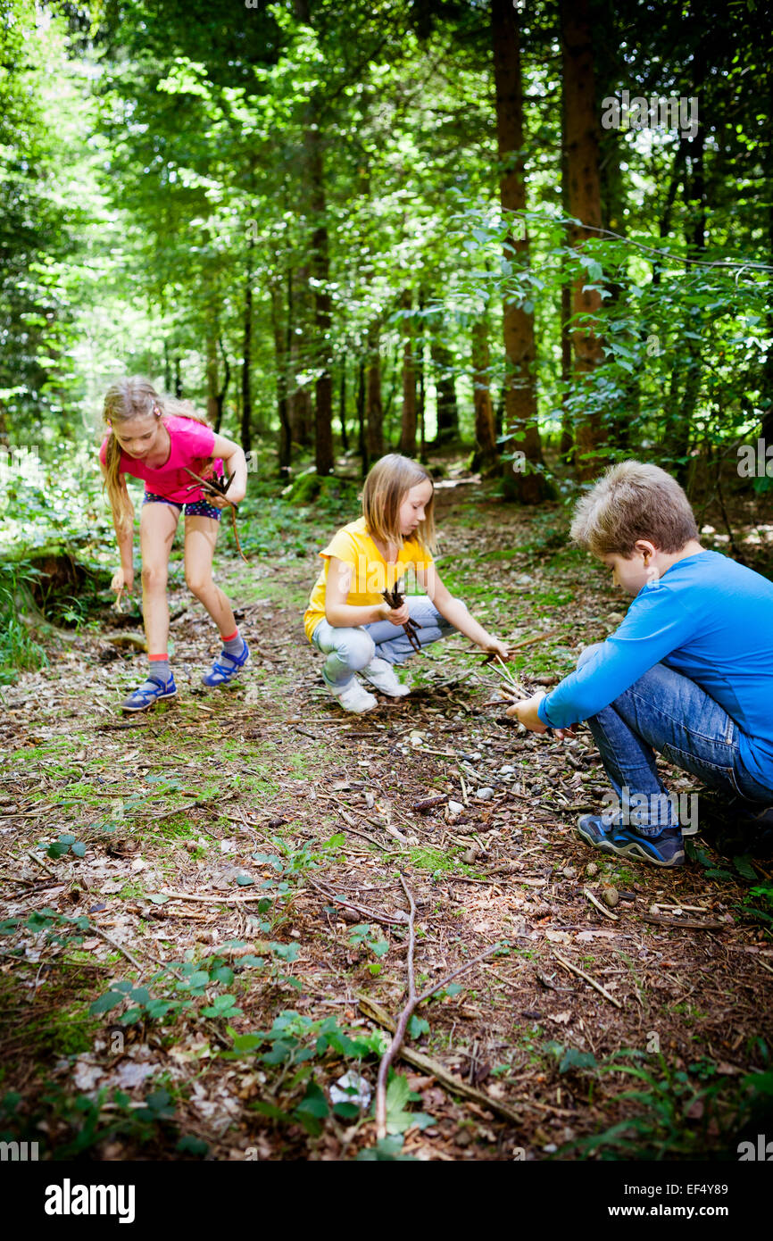 Les enfants ramasser du bois en forêt, Munich, Bavière, Allemagne Photo ...