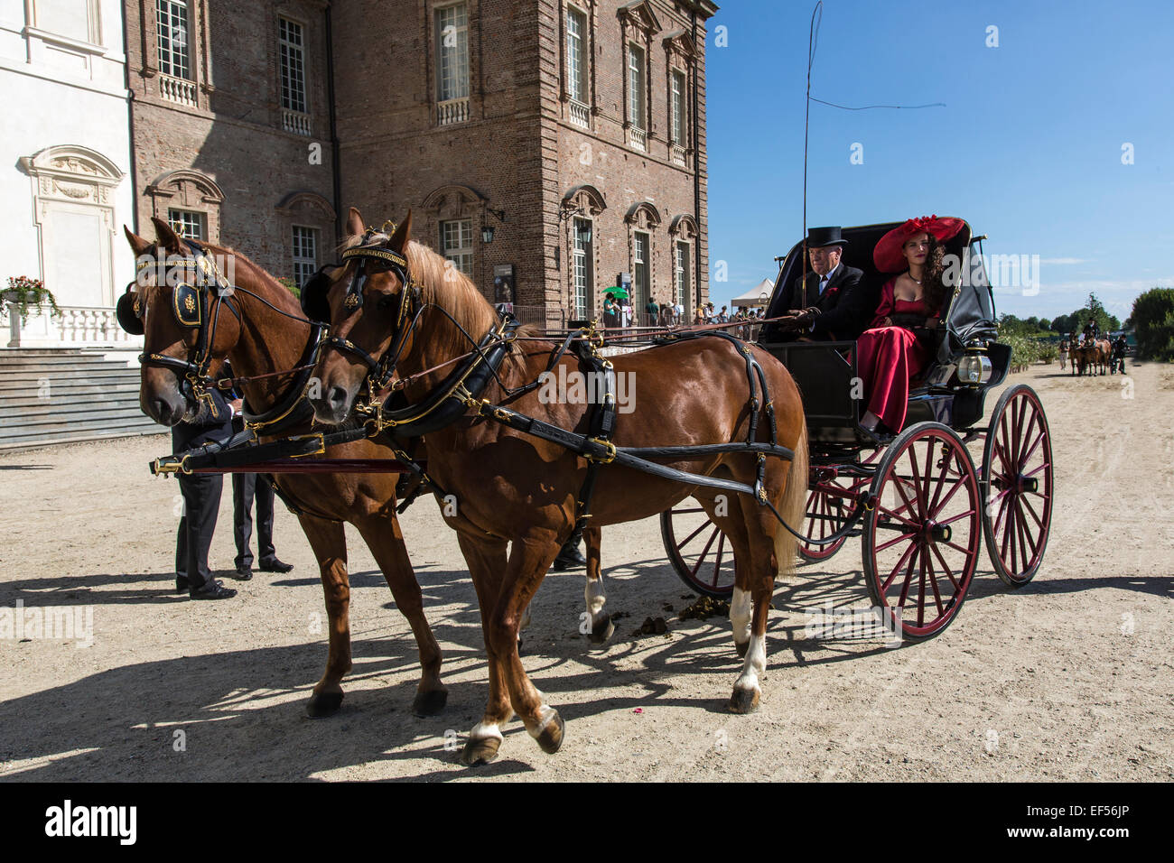 Spider phaeton Banque de photographies et d’images à haute résolution ...