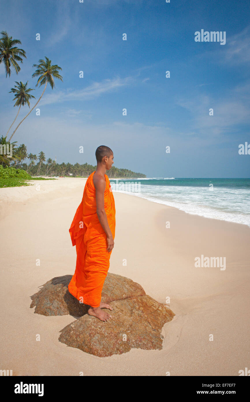 Moine a la plage Banque de photographies et d’images à haute résolution - Alamy