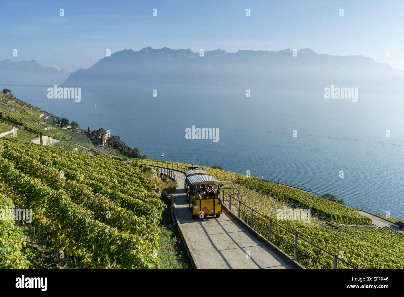Epesses in lavaux Banque de photographies et d’images à haute ...