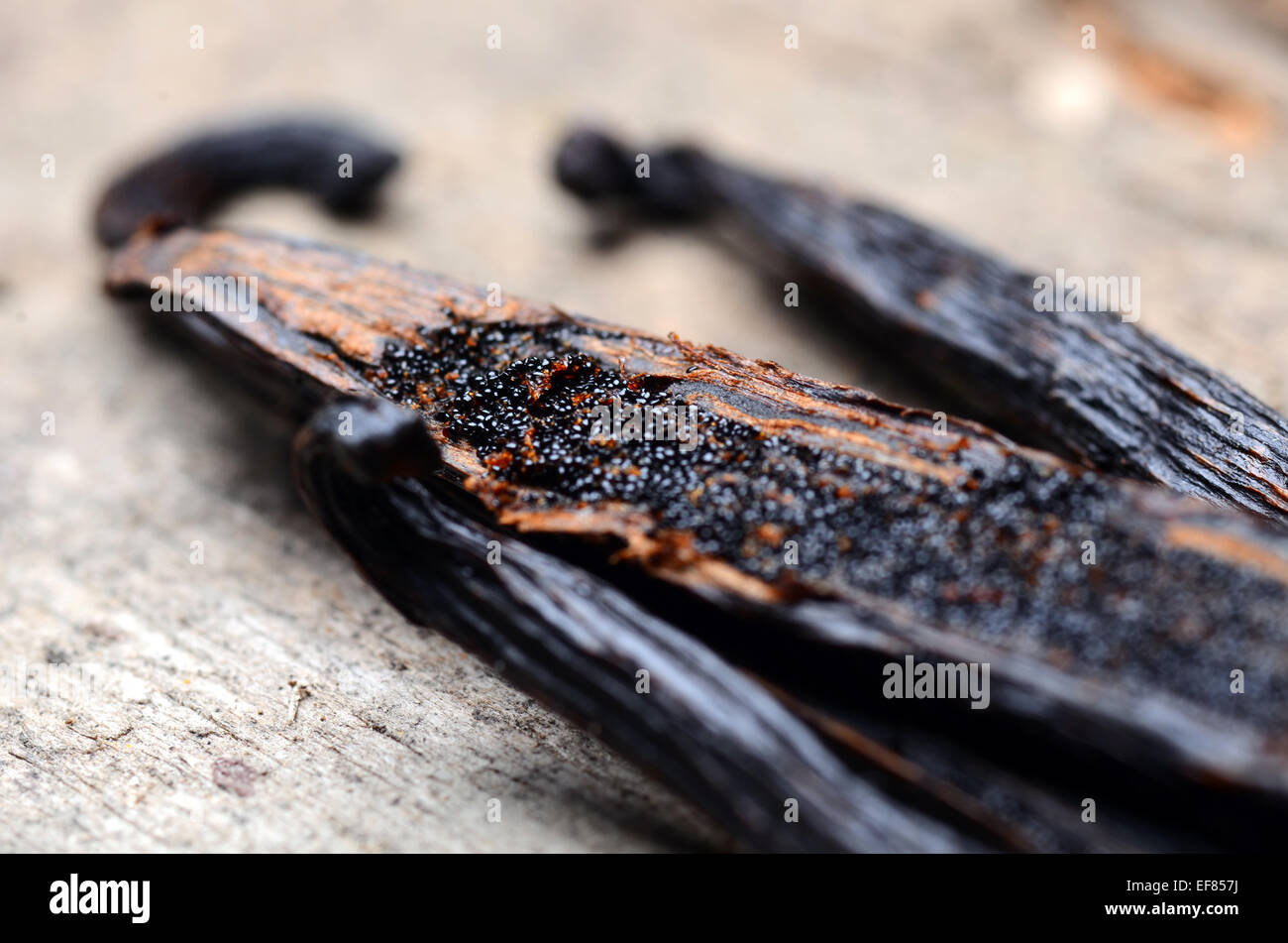 Gousse de vanille Banque de photographies et d’images à haute ...