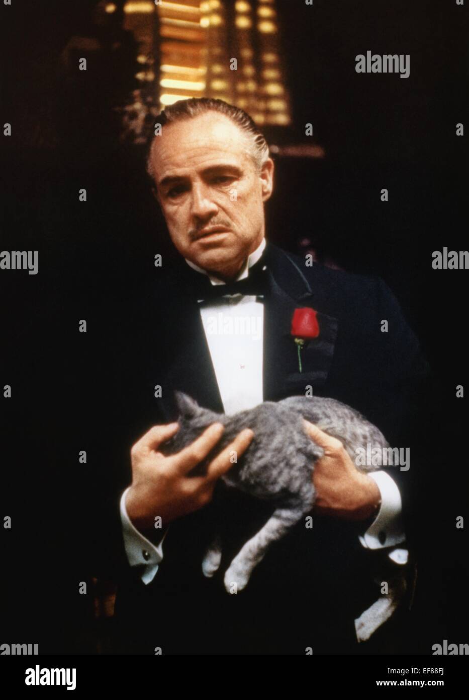 Marlon Brando Godfather Banque d'image et photos - Alamy