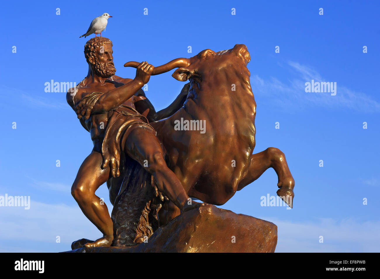 Cretan bull Banque de photographies et d’images à haute résolution - Alamy