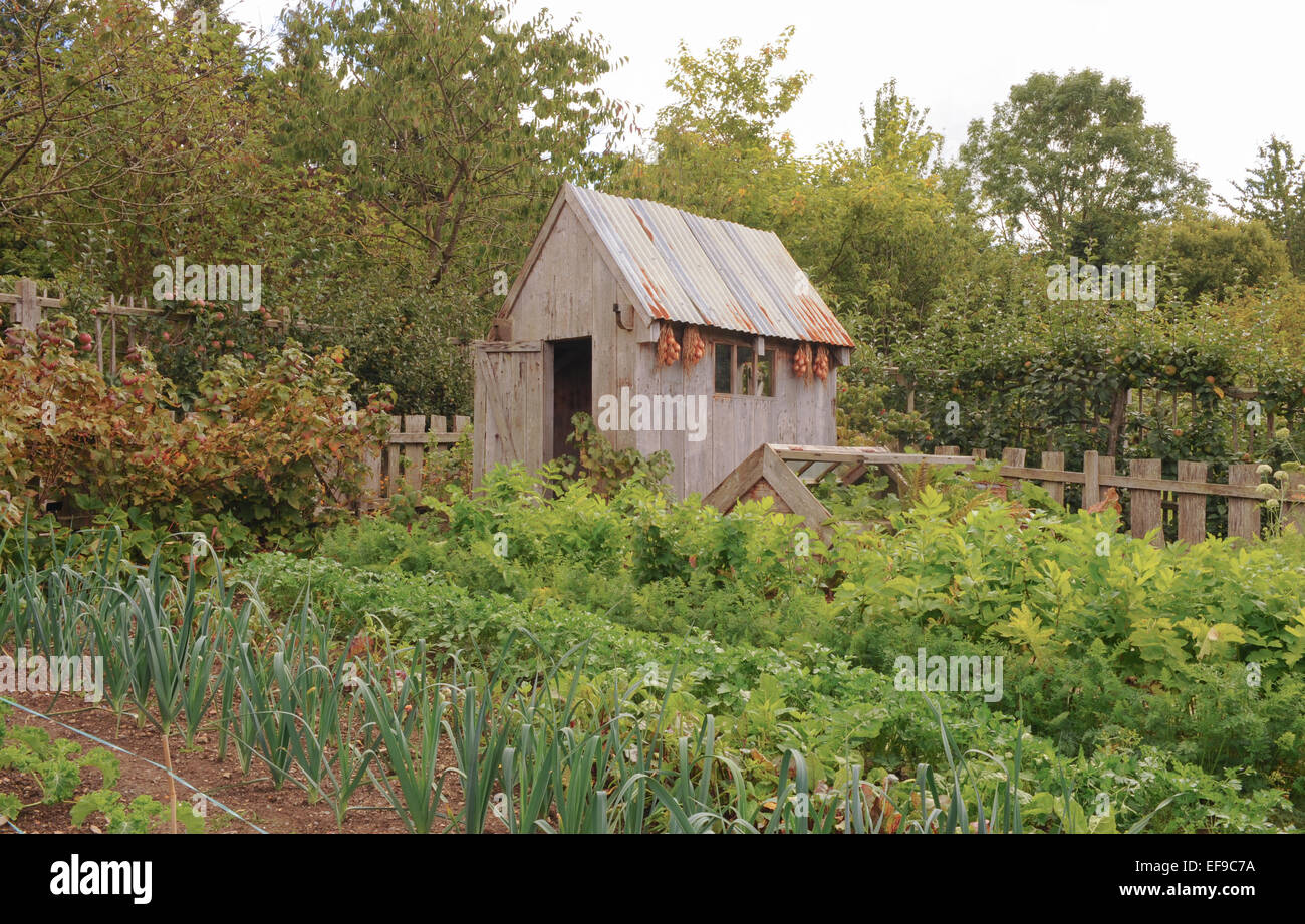 Abri de jardin dans le jardin de fruits et légumes à Rosemoor dans le ...