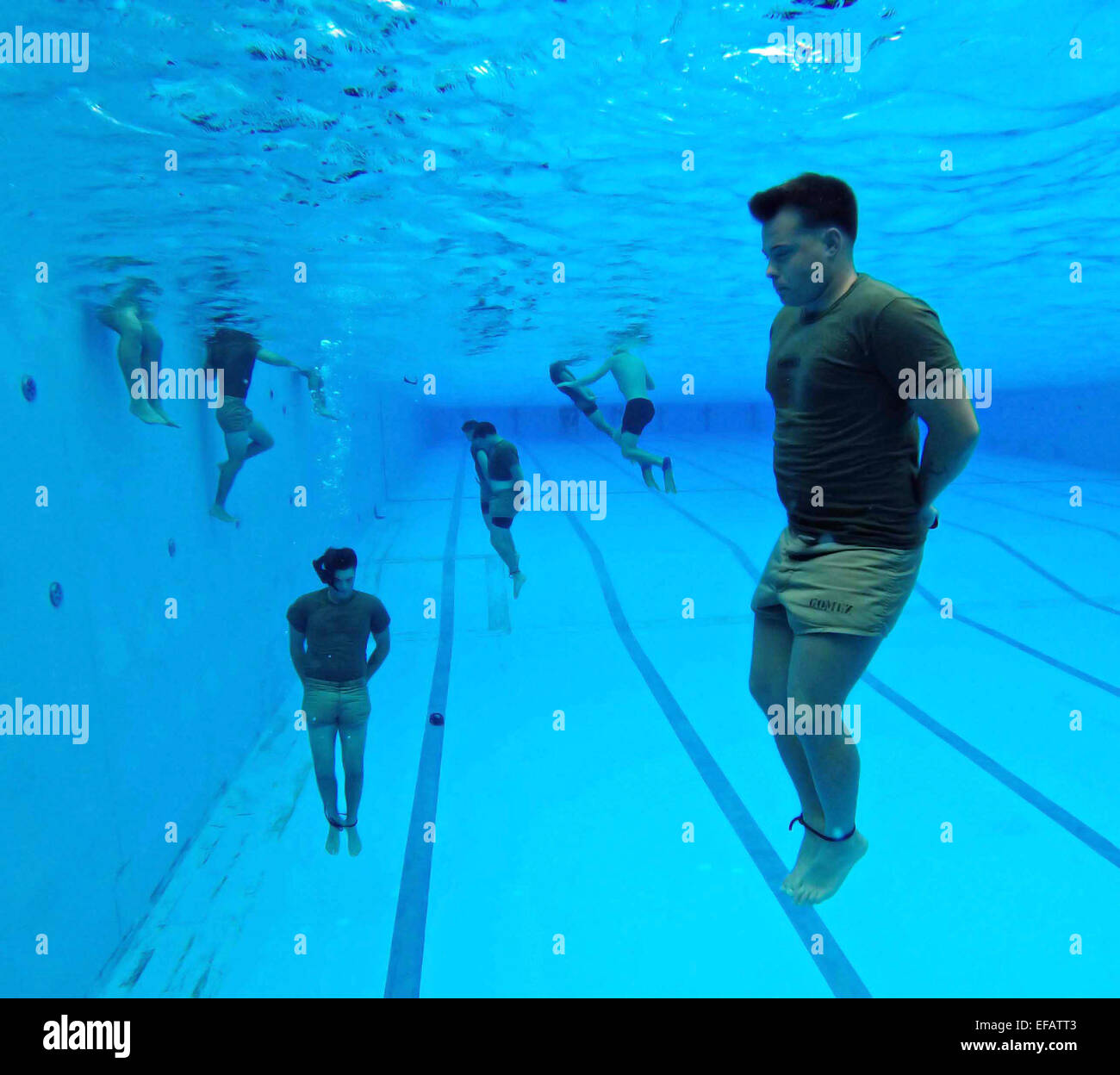 Plongeur dans la piscine Banque de photographies et d’images à haute ...