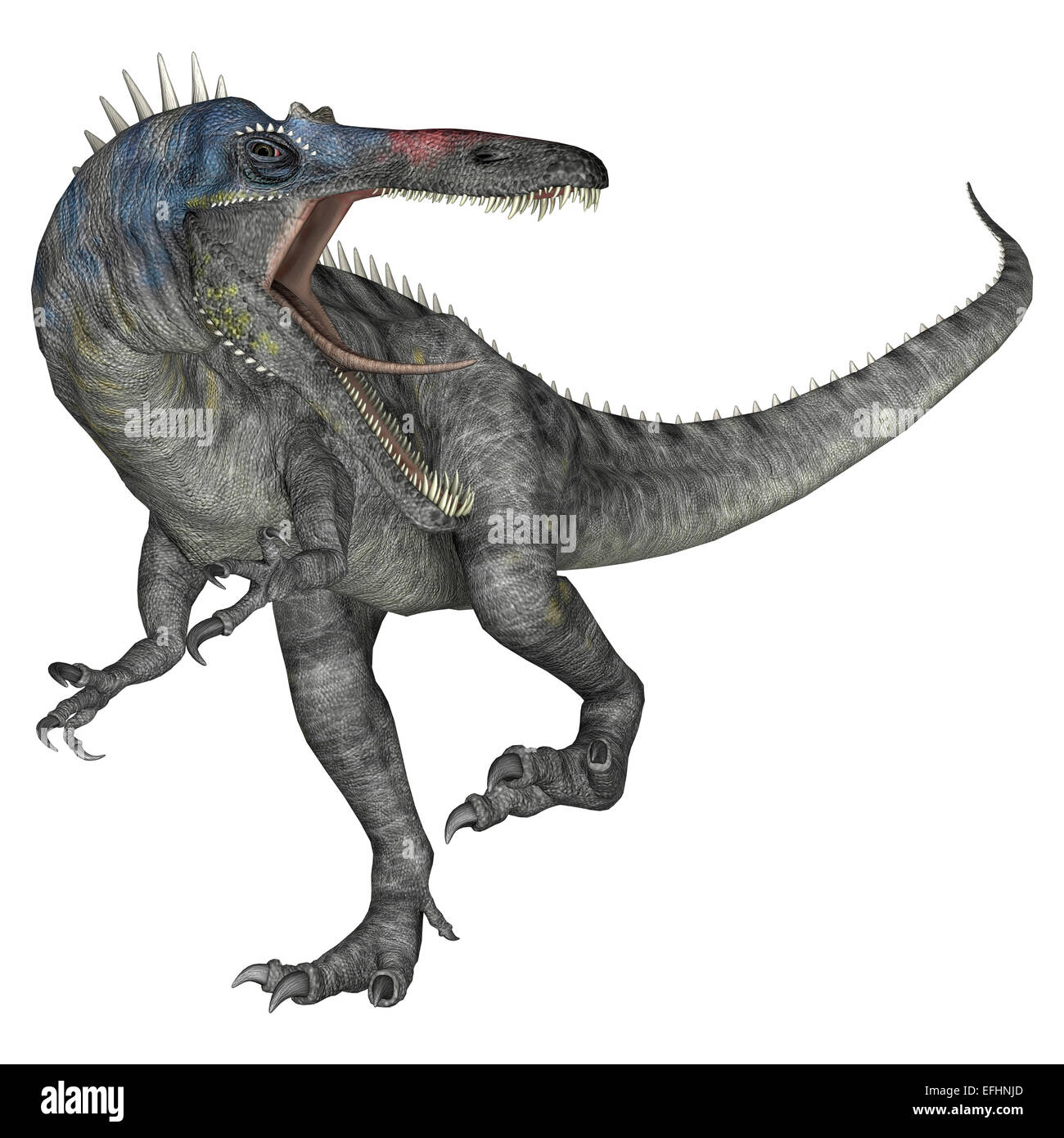 Rendu 3D d'un dinosaure Suchomimus Suchomimus tenerensis ou isolé sur ...