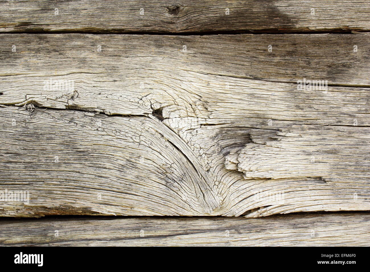 Vrai chêne weathered wood texture, patinées par le temps de l ...