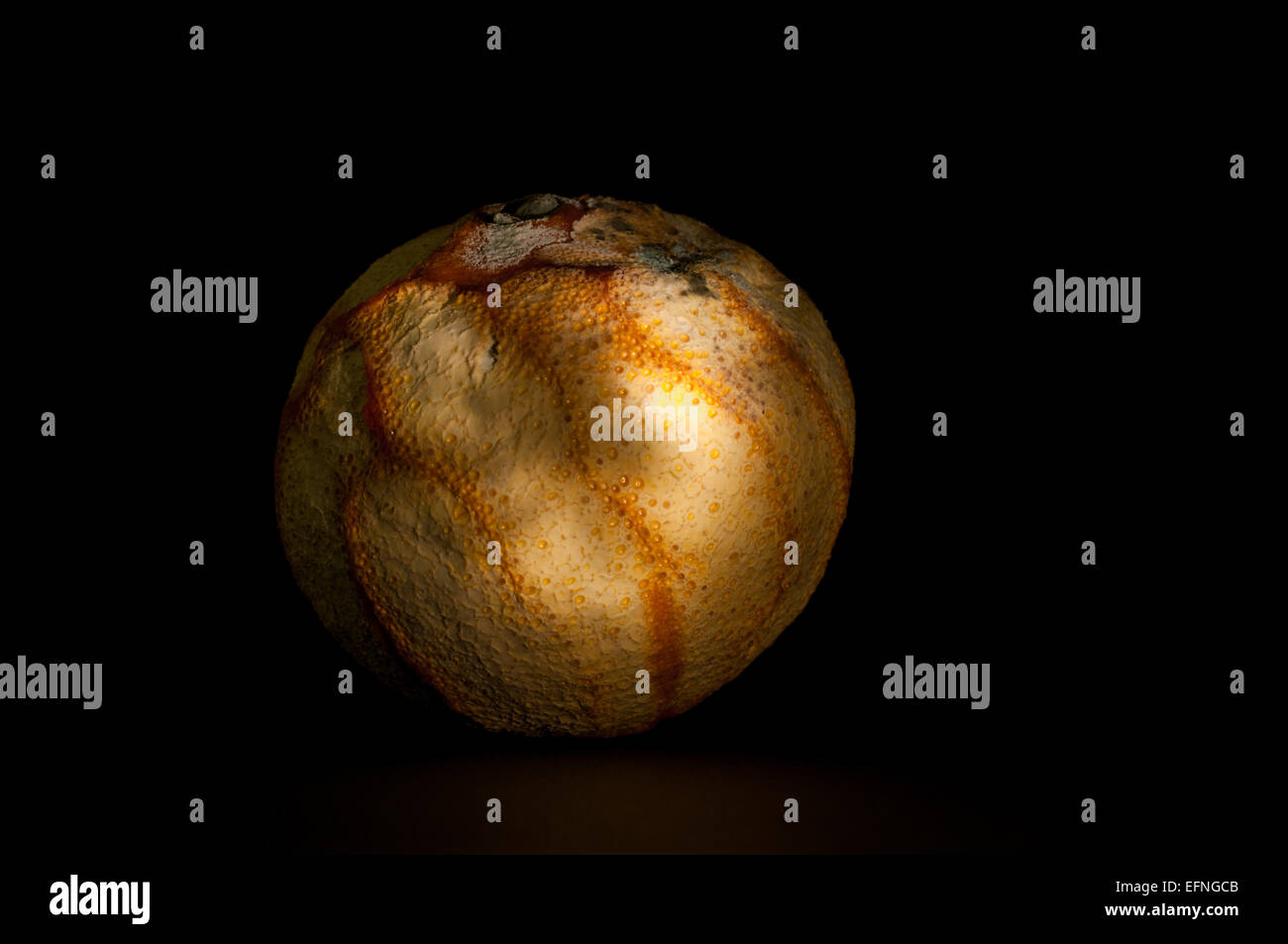 Orange Pourrie Banque d'image et photos - Alamy