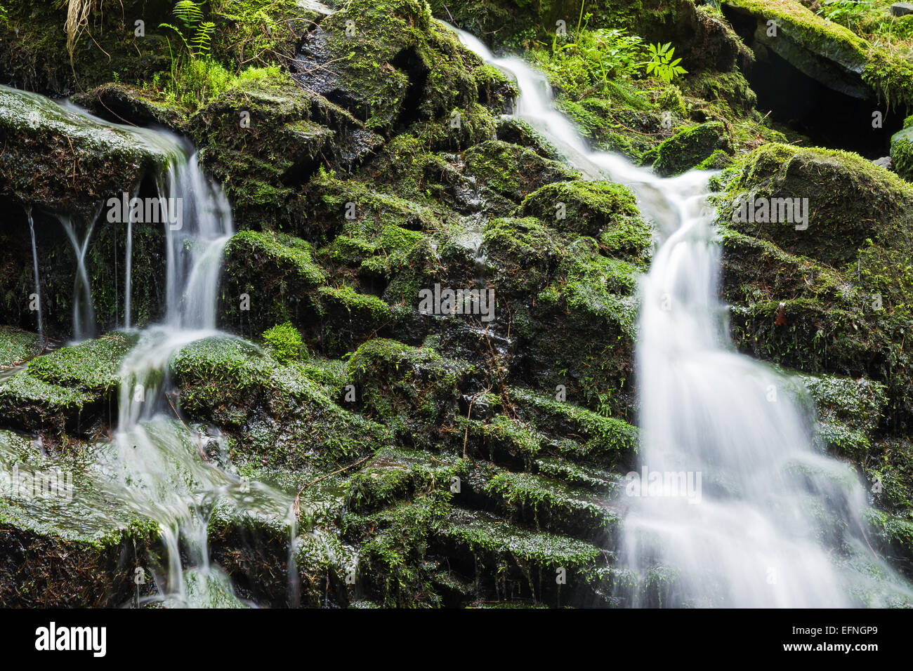 Cascade de ravin Banque de photographies et d’images à haute résolution ...