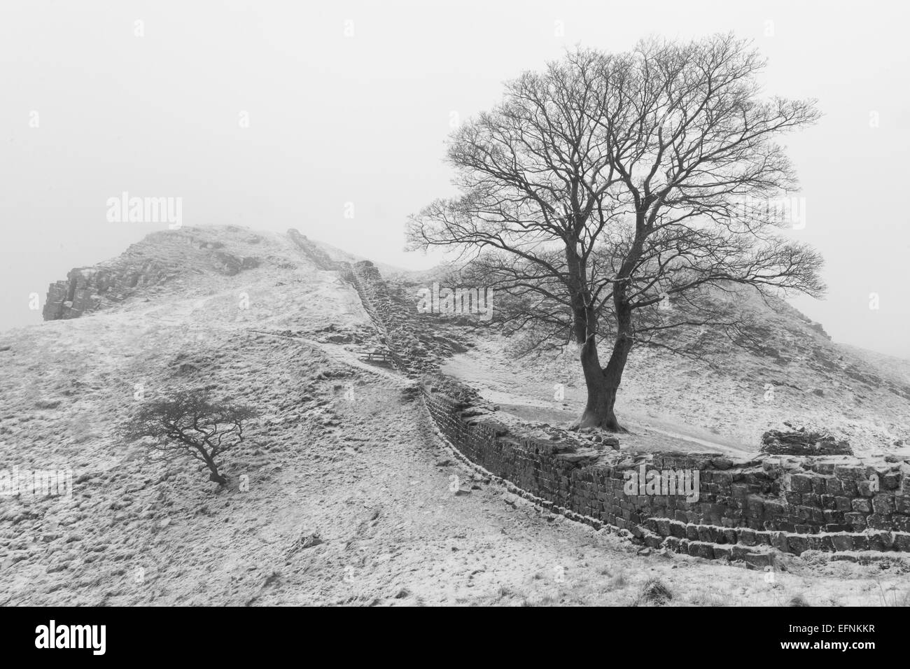 La neige a couvert Mur d'Hadrien à Sycamore Gap est un image en noir et ...