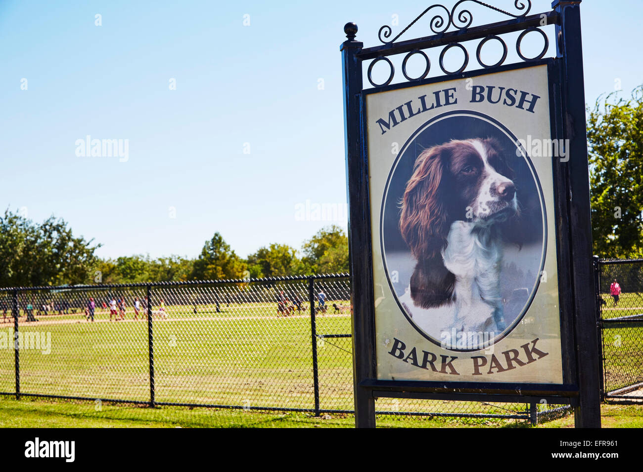 Millie bush Banque de photographies et d’images à haute résolution - Alamy