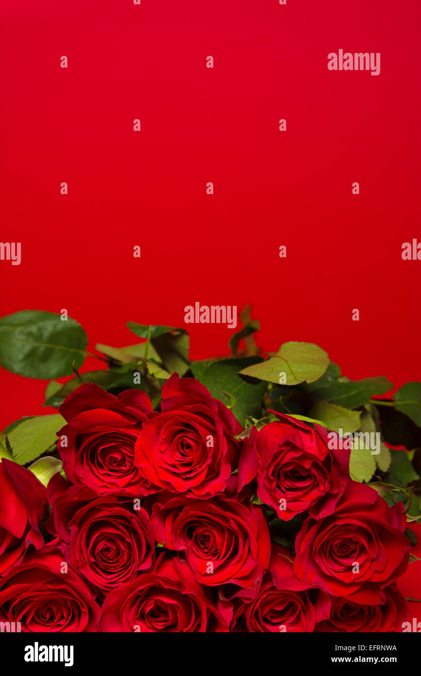 Roses rouges de la saint valentin Banque de photographies et d’images à ...