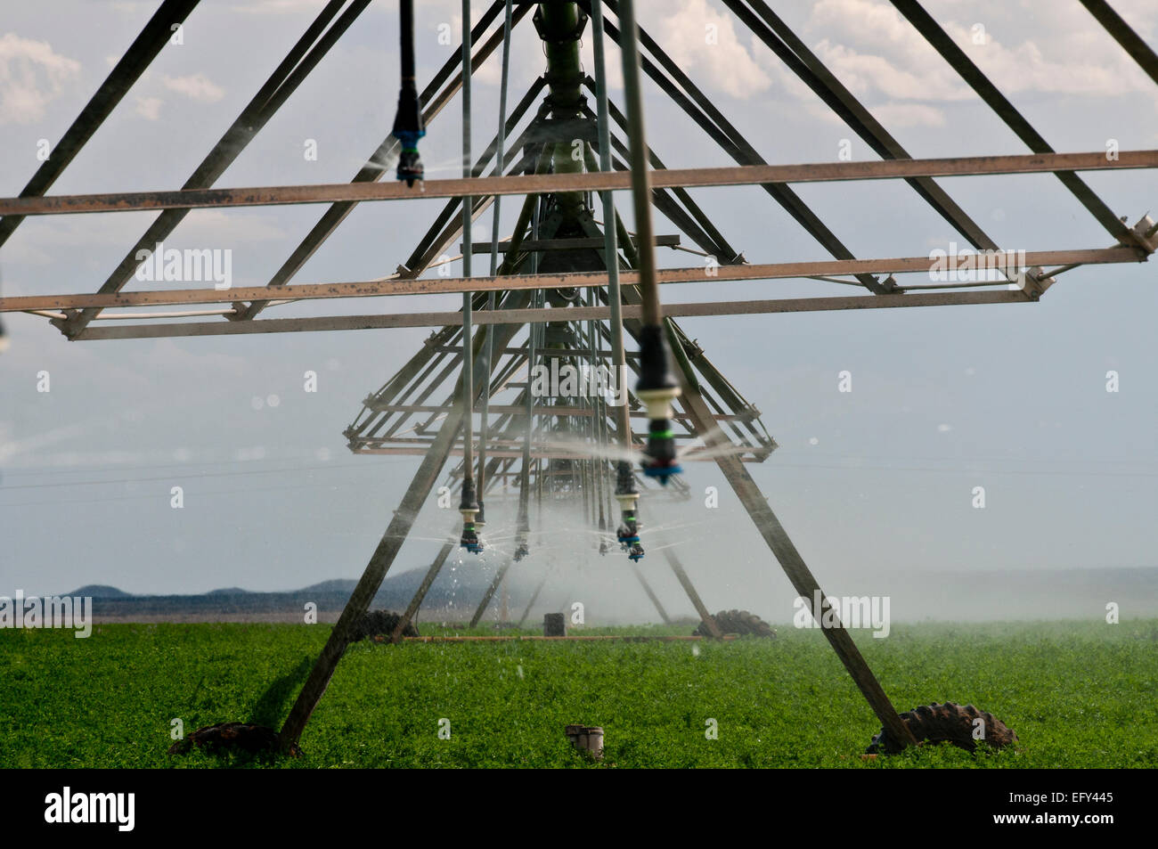 Aspersion irrigation Banque de photographies et d’images à haute ...