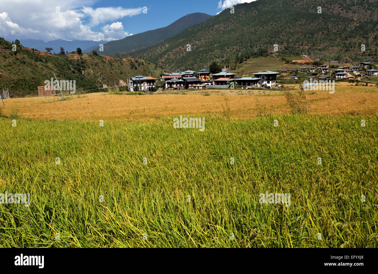 Lama drukpa kunley Banque de photographies et d’images à haute ...