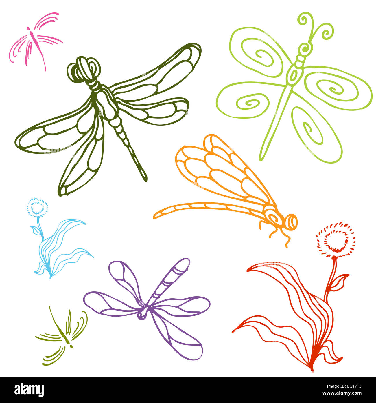 Dragonfly drawing Banque de photographies et d’images à haute ...