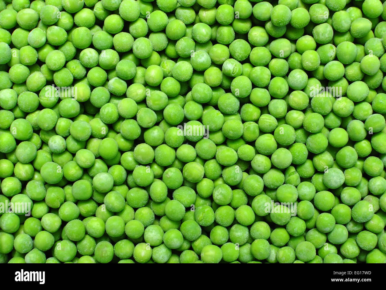 Peas pattern Banque de photographies et d’images à haute résolution - Alamy