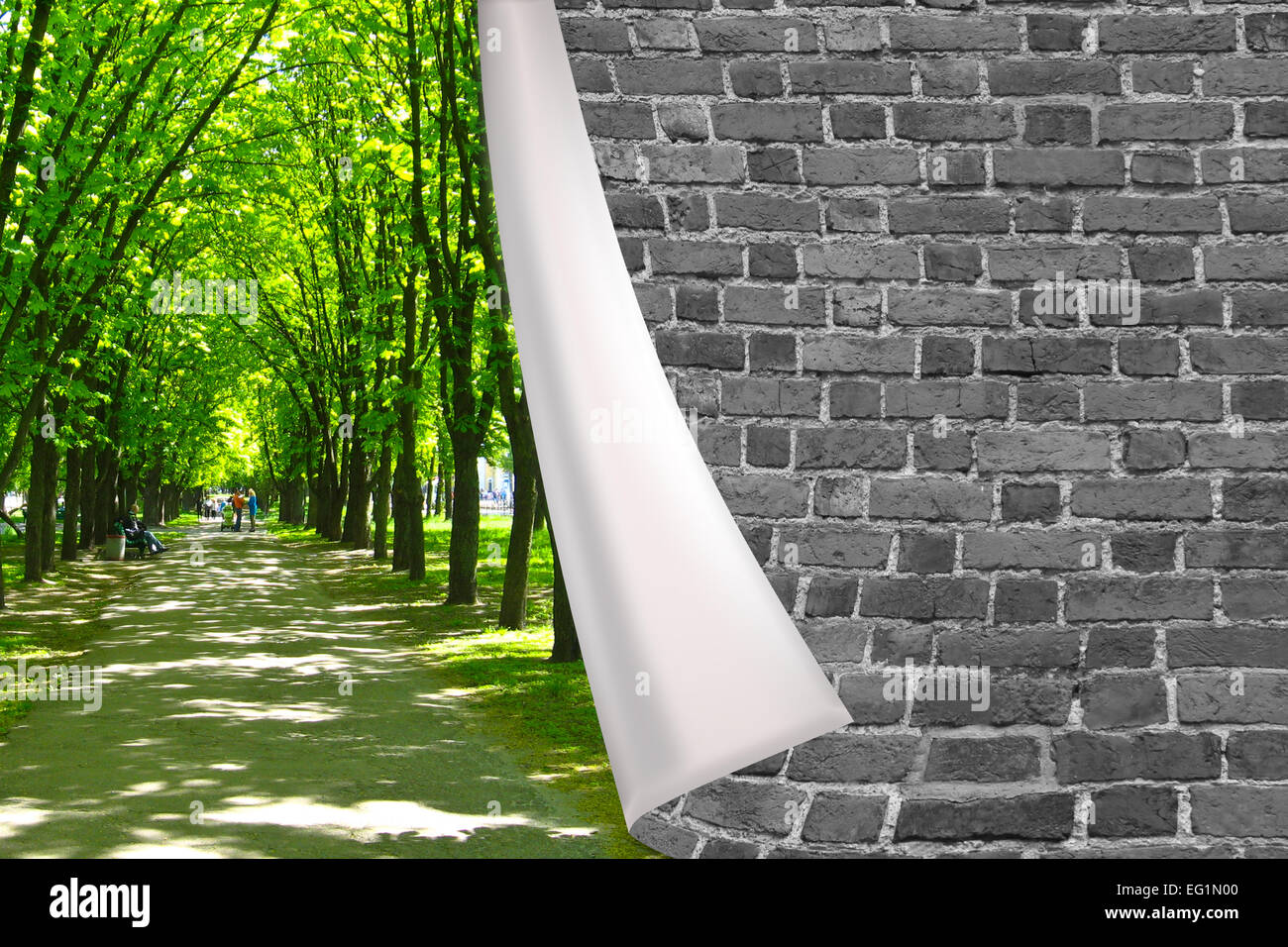 White brick path Banque de photographies et d’images à haute résolution ...