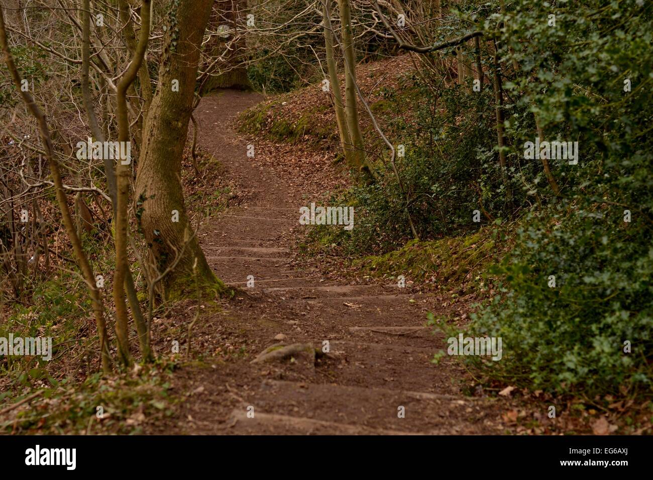 Chemin abraham Banque de photographies et d’images à haute résolution ...