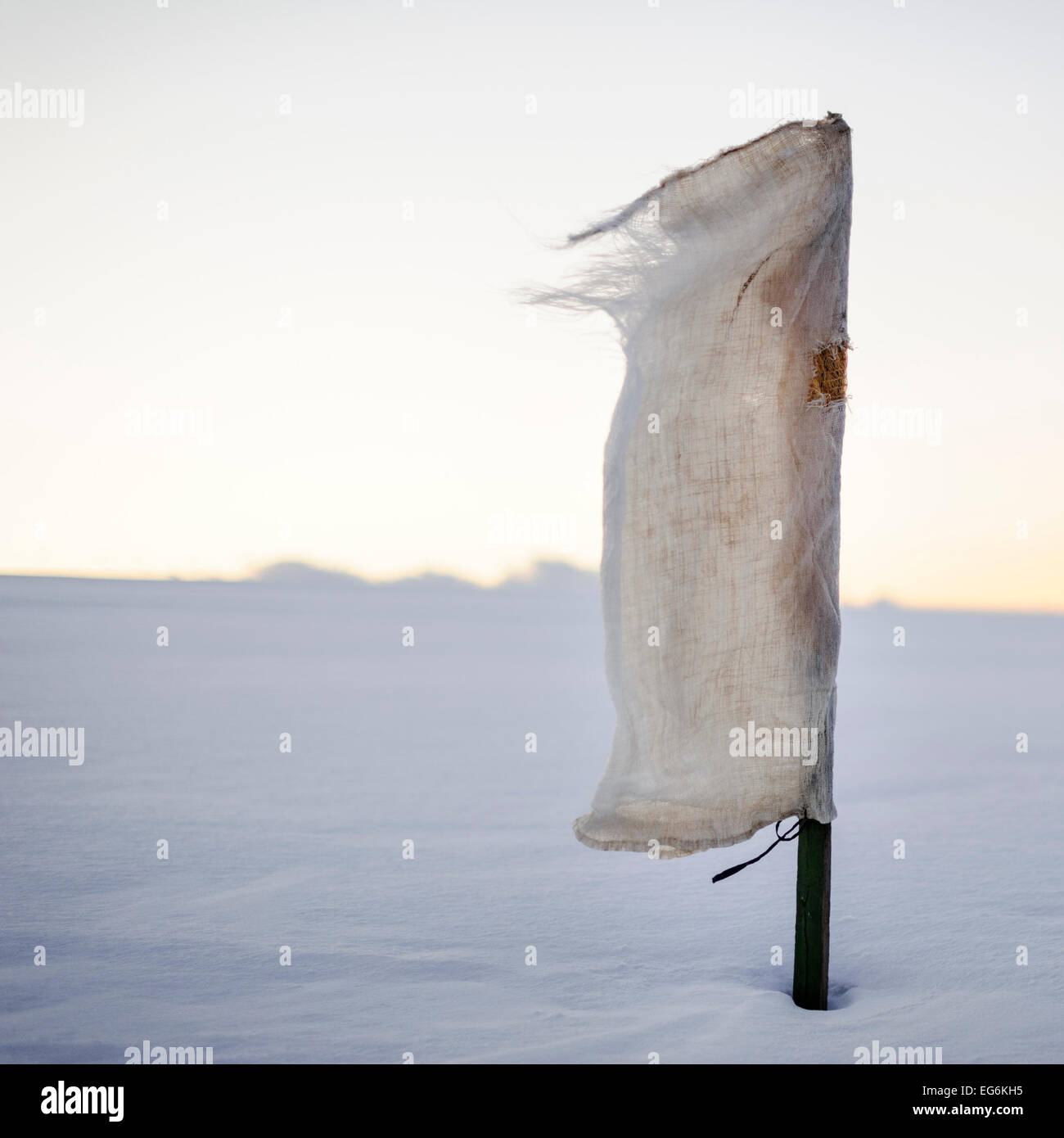 Toile de l'épouvantail d'un drapeau en champ de neige dans le vent ...