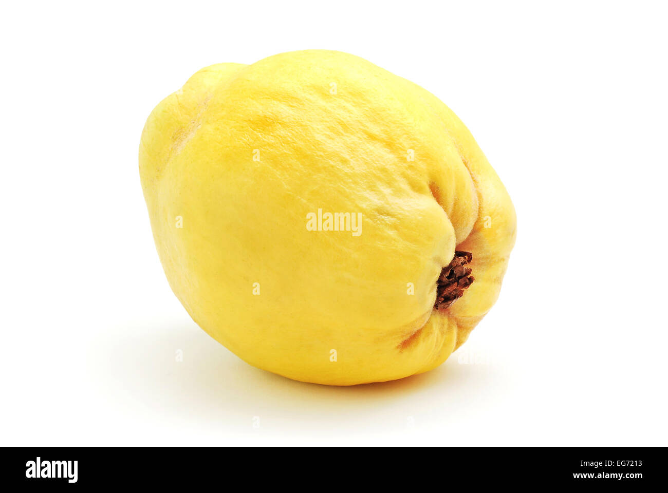 Fruit de coing Banque de photographies et d’images à haute résolution ...