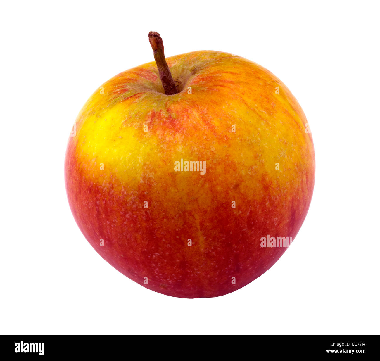 Variété de pomme anglaise Banque de photographies et d’images à haute ...