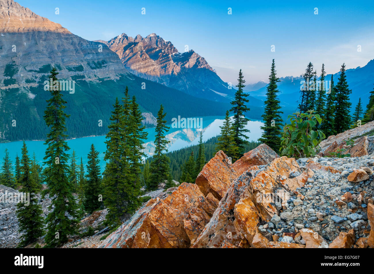 Parc National Du Lac Peyto Banff Banque d'image et photos - Alamy