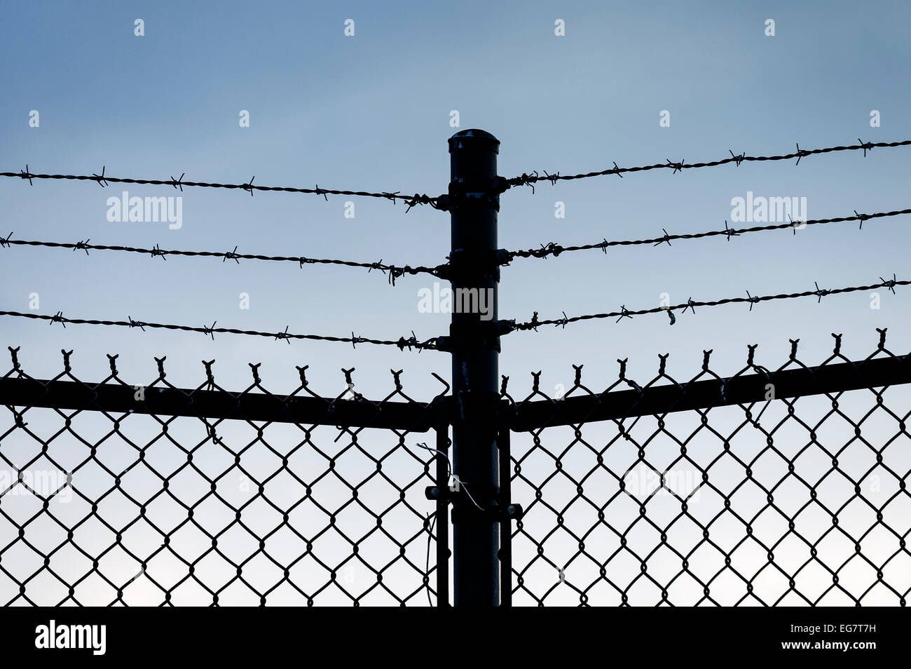 Barbed wired fence Banque de photographies et d’images à haute ...