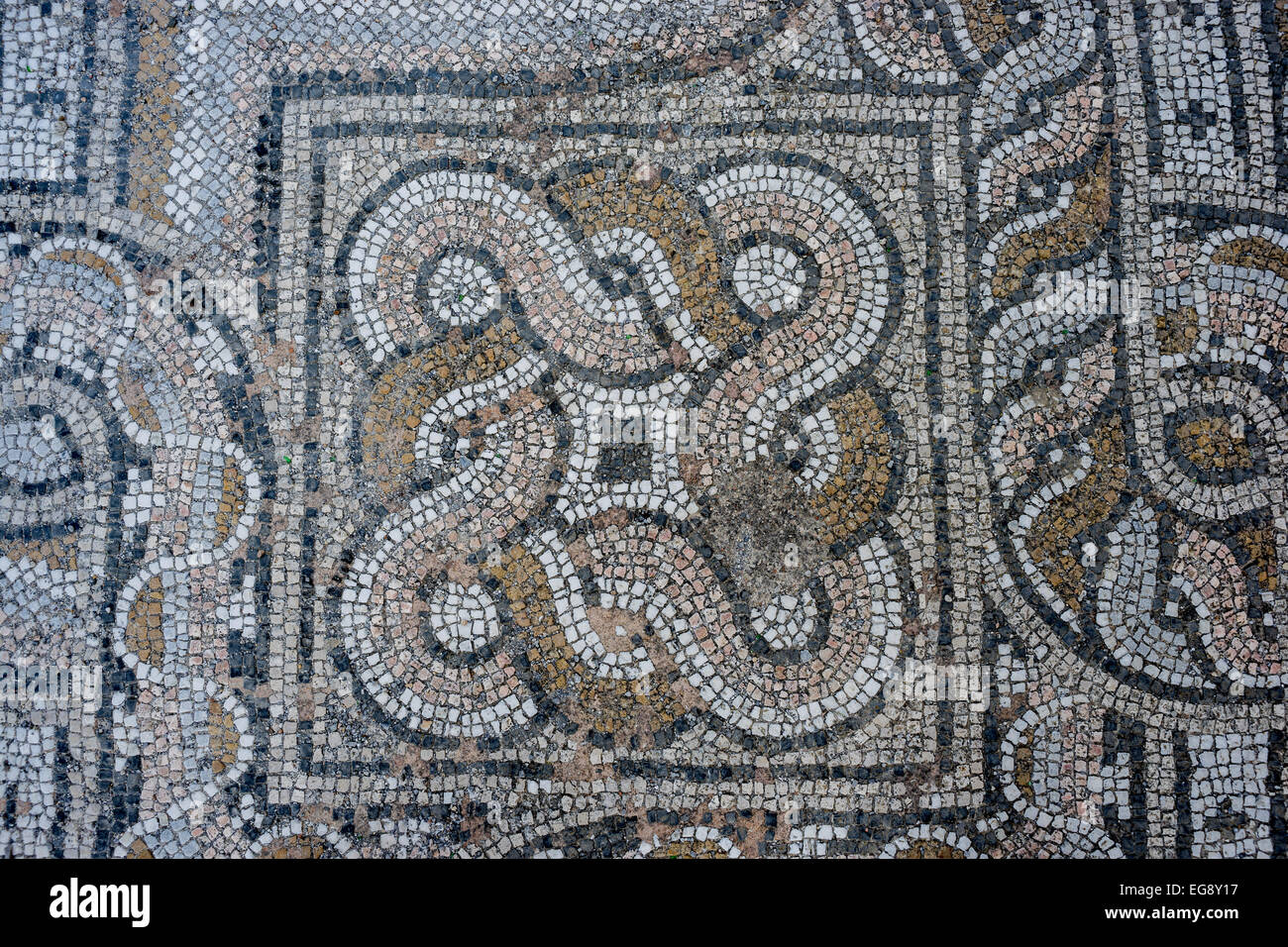 Mosaïques romaines Banque de photographies et d’images à haute ...