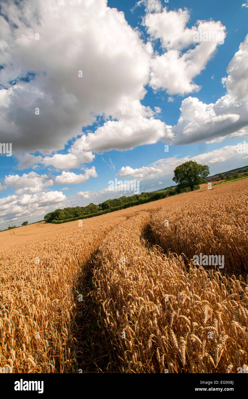 Lambley nottinghamshire Banque de photographies et d’images à haute ...