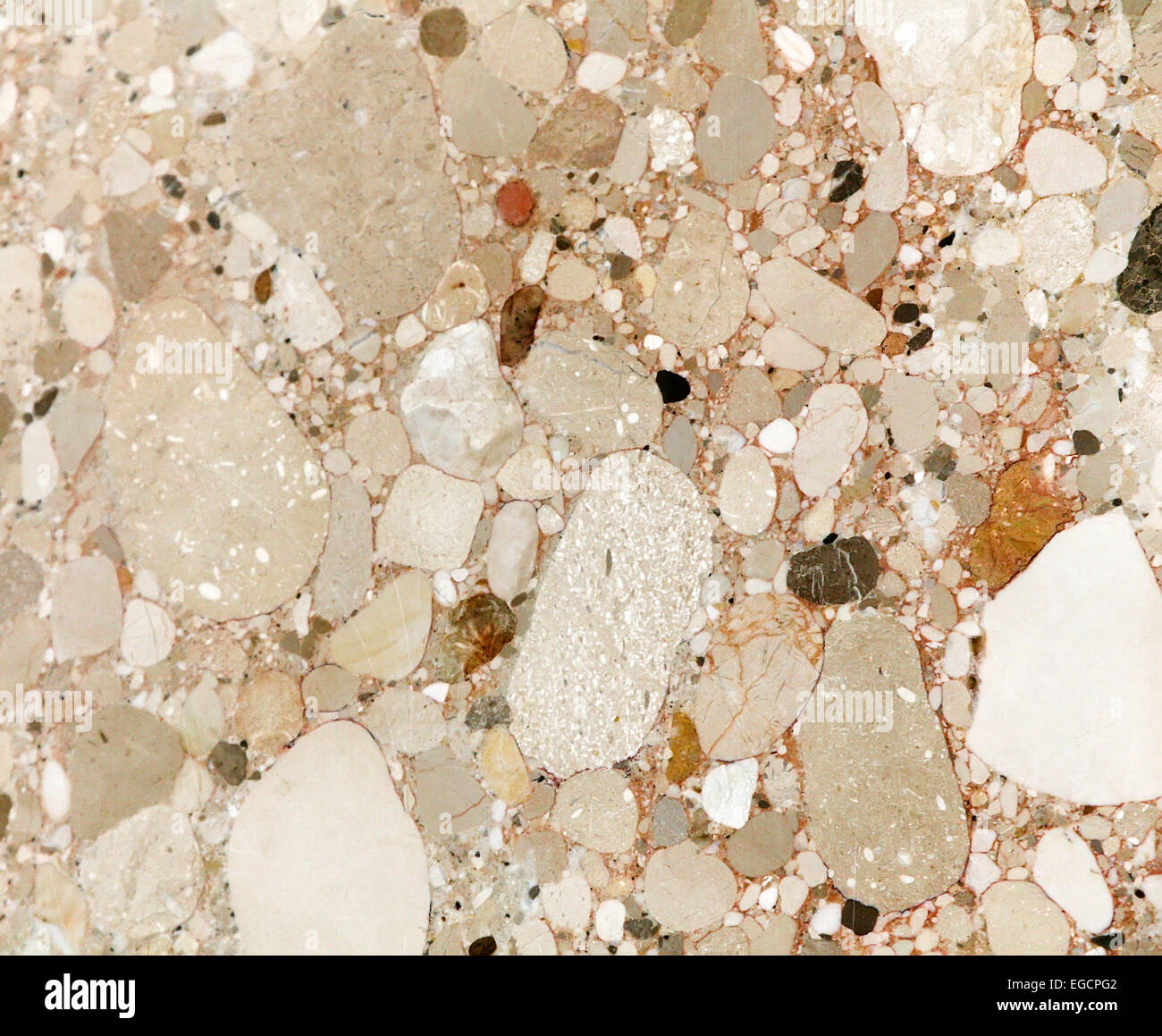 Sedimentary rock conglomerate Banque de photographies et d’images à ...