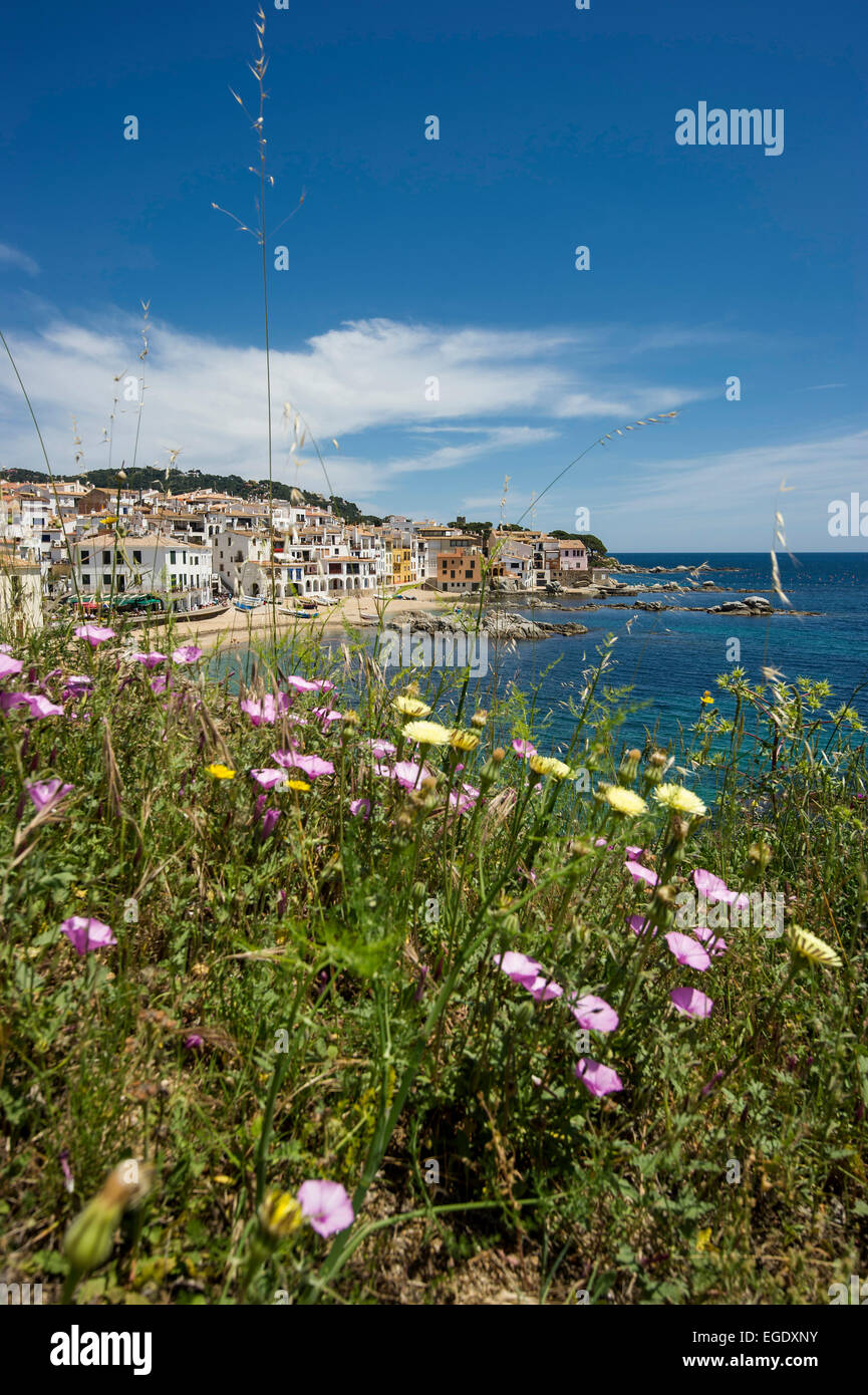 Avis de Calella de Palafrugell, Palafrugell, Costa Brava, Espagne Photo ...